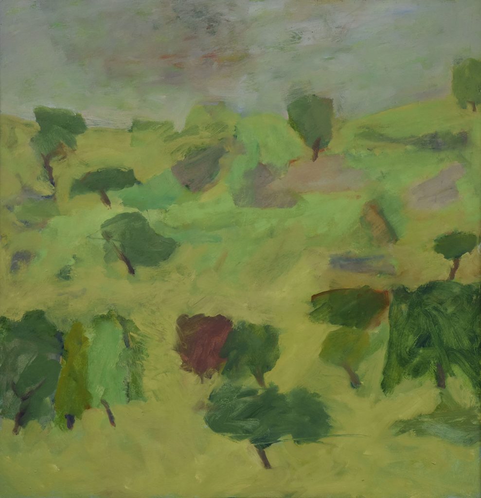 Imaginary Landscapes: 1992-2004 - Gerry Hunt