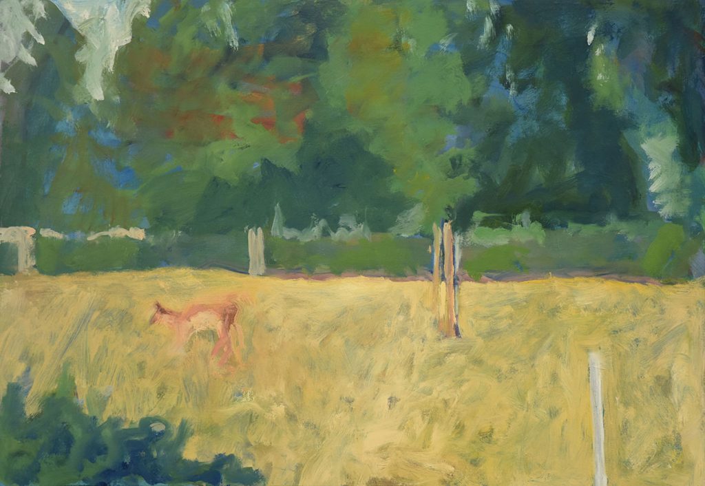 Imaginary Landscapes: 1992-2004 - Gerry Hunt
